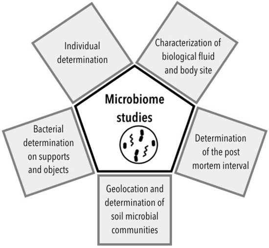 Analysis of Microbial Communities: An Emerging Tool in Forensic Sciences