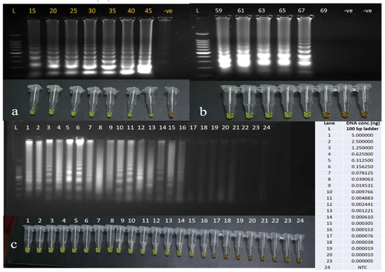 Advanced Multiplex Loop Mediated Isothermal Amplification (mLAMP) Combined with Lateral Flow ...