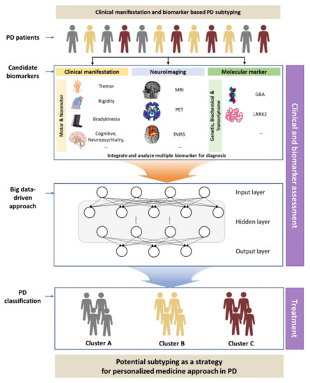 Diagnostics | Free Full-Text | Parkinson’s Disease Subtyping Using ...