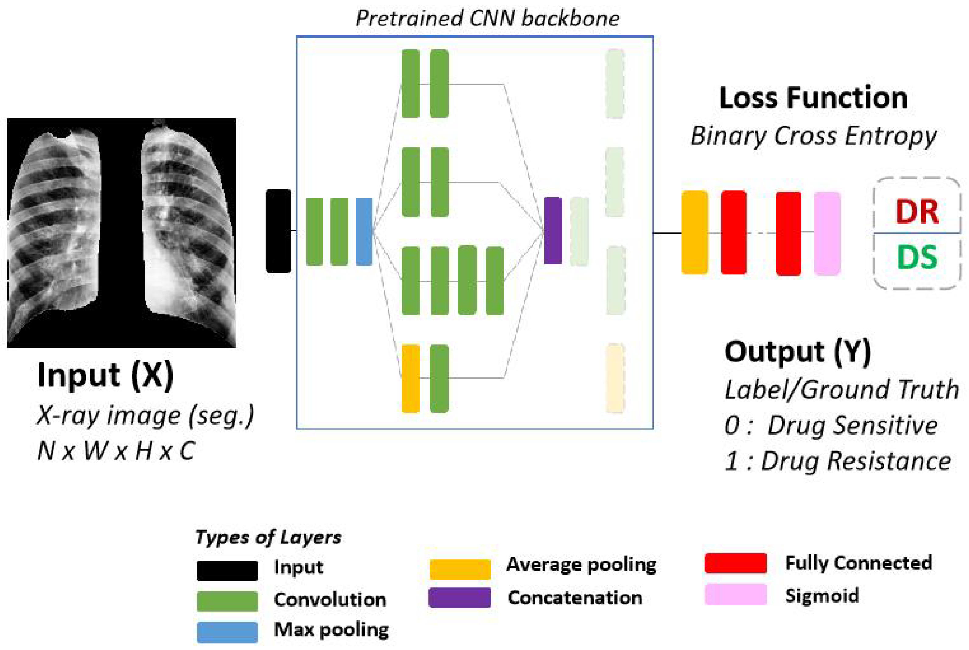 Diagnostics | Free Full-Text | Generalization Challenges in Drug ...
