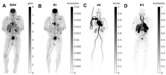 Advantages and Applications of Total-Body PET Scanning