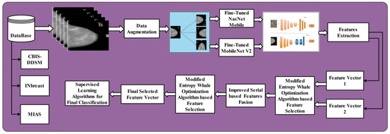 Breast Cancer Mammograms Classification Using Deep Neural Network and Entropy-Controlled Whale ...