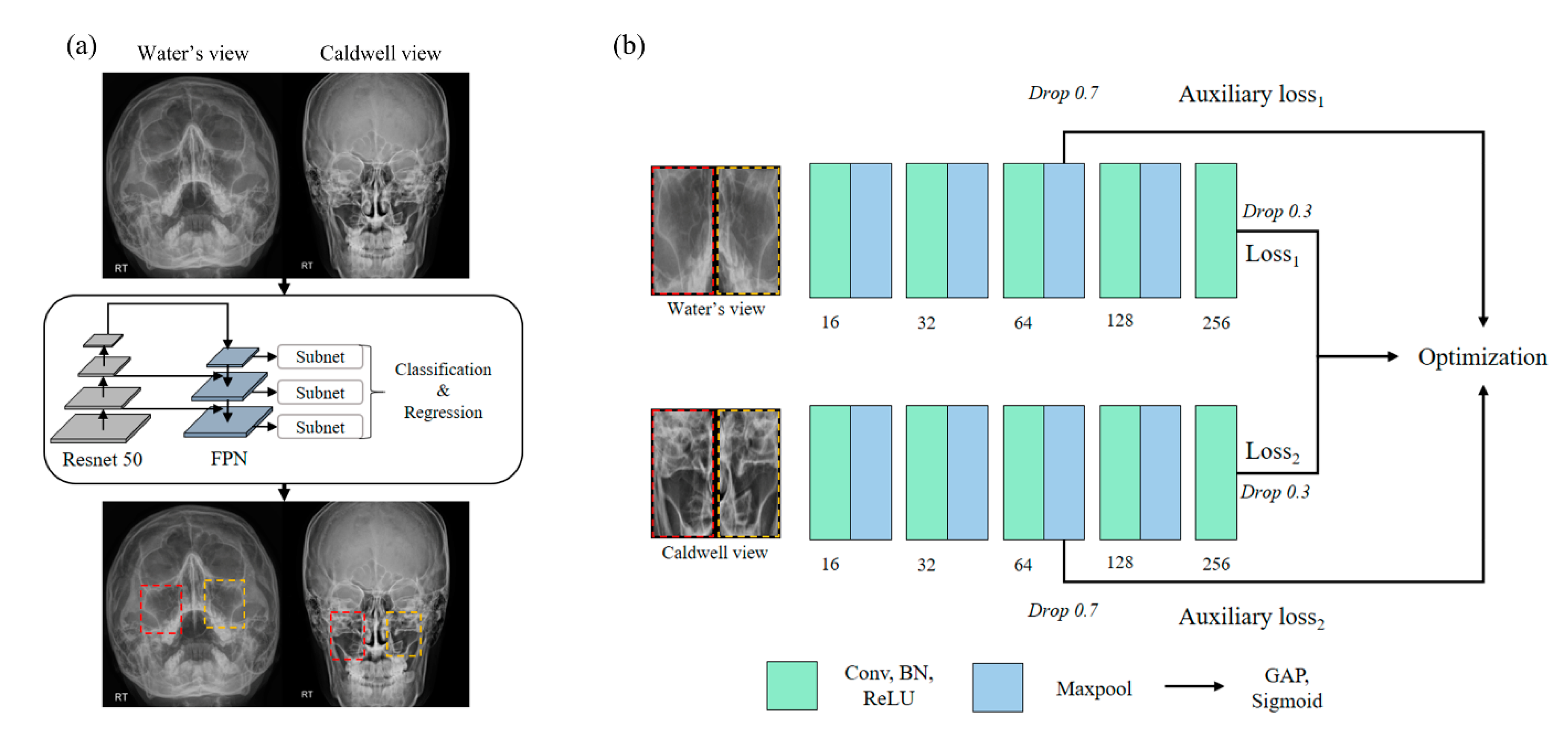 Diagnostics Free Full Text Aux Mvnet Auxiliary Classifier Based