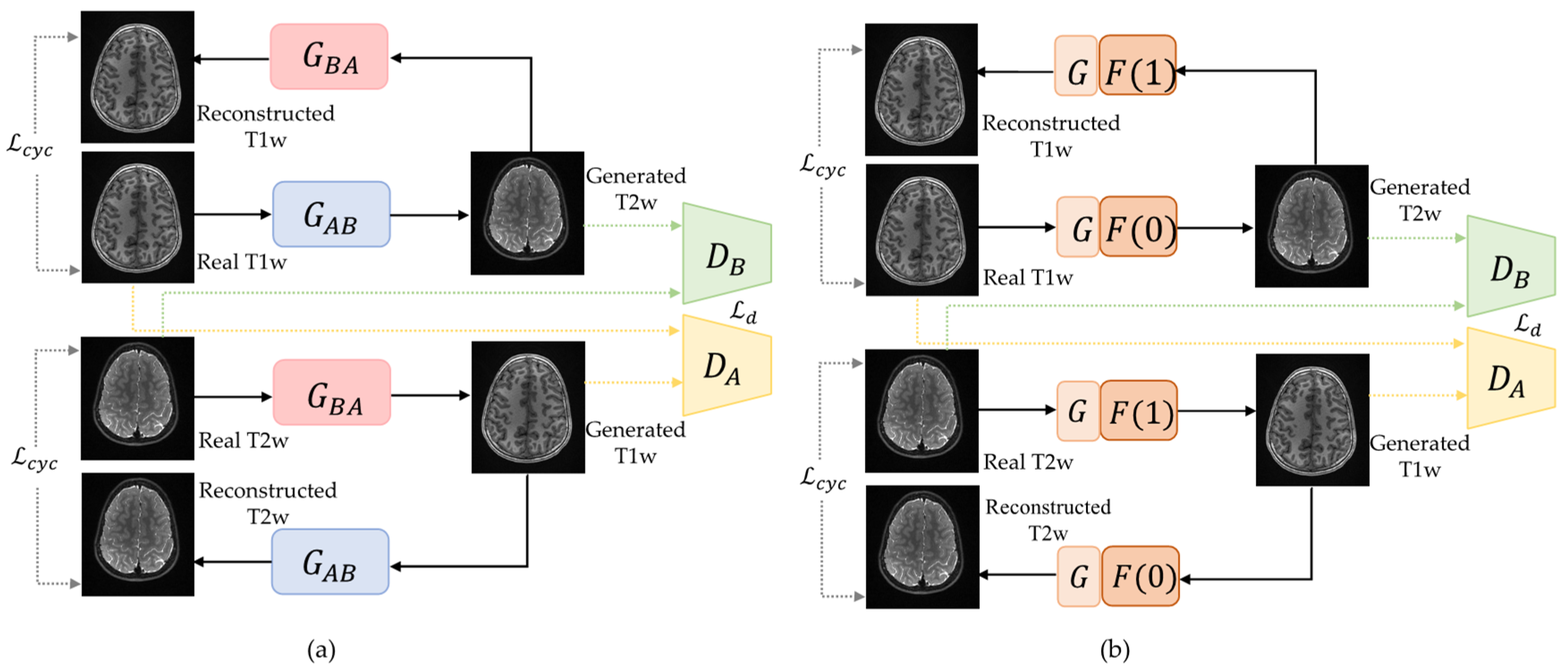 Multi-Contrast MRI Image Synthesis Using Switchable Cycle-Consistent Generative Adversarial Networks