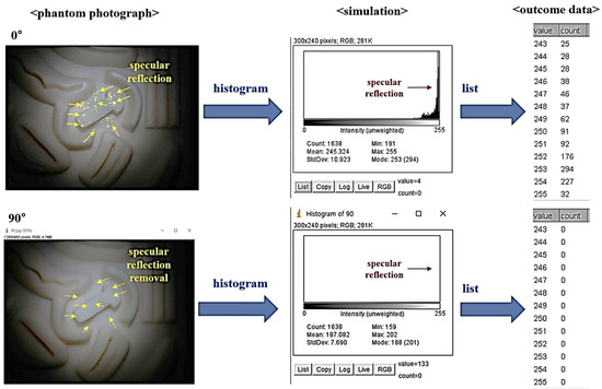 Medical Image Analysis