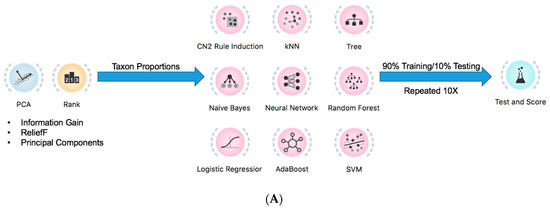 Artificial Intelligence in Cancer Diagnosis and Therapy