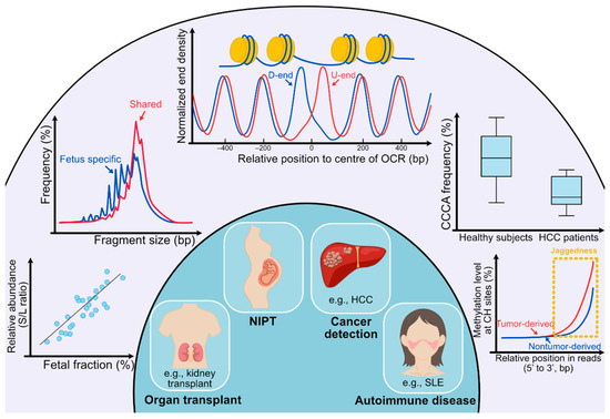 Diagnostics | Free Full-Text | Cell-Free DNA Fragmentomics in Liquid Biopsy