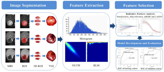 Medical Image Analysis
