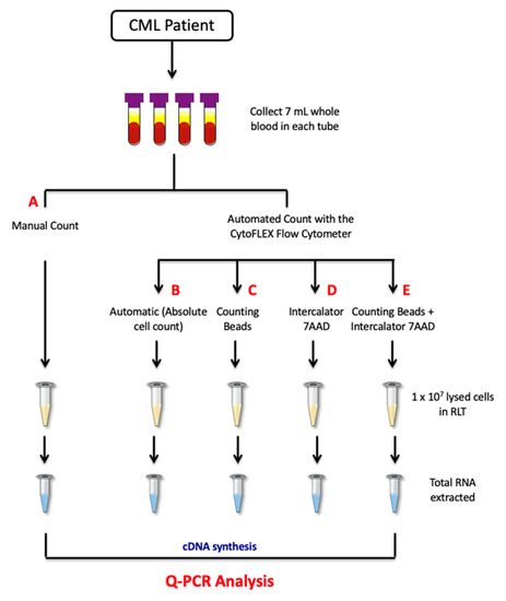 Diagnostics | Free Full-Text | Impact of Different Cell Counting Methods in Molecular Monitoring ...