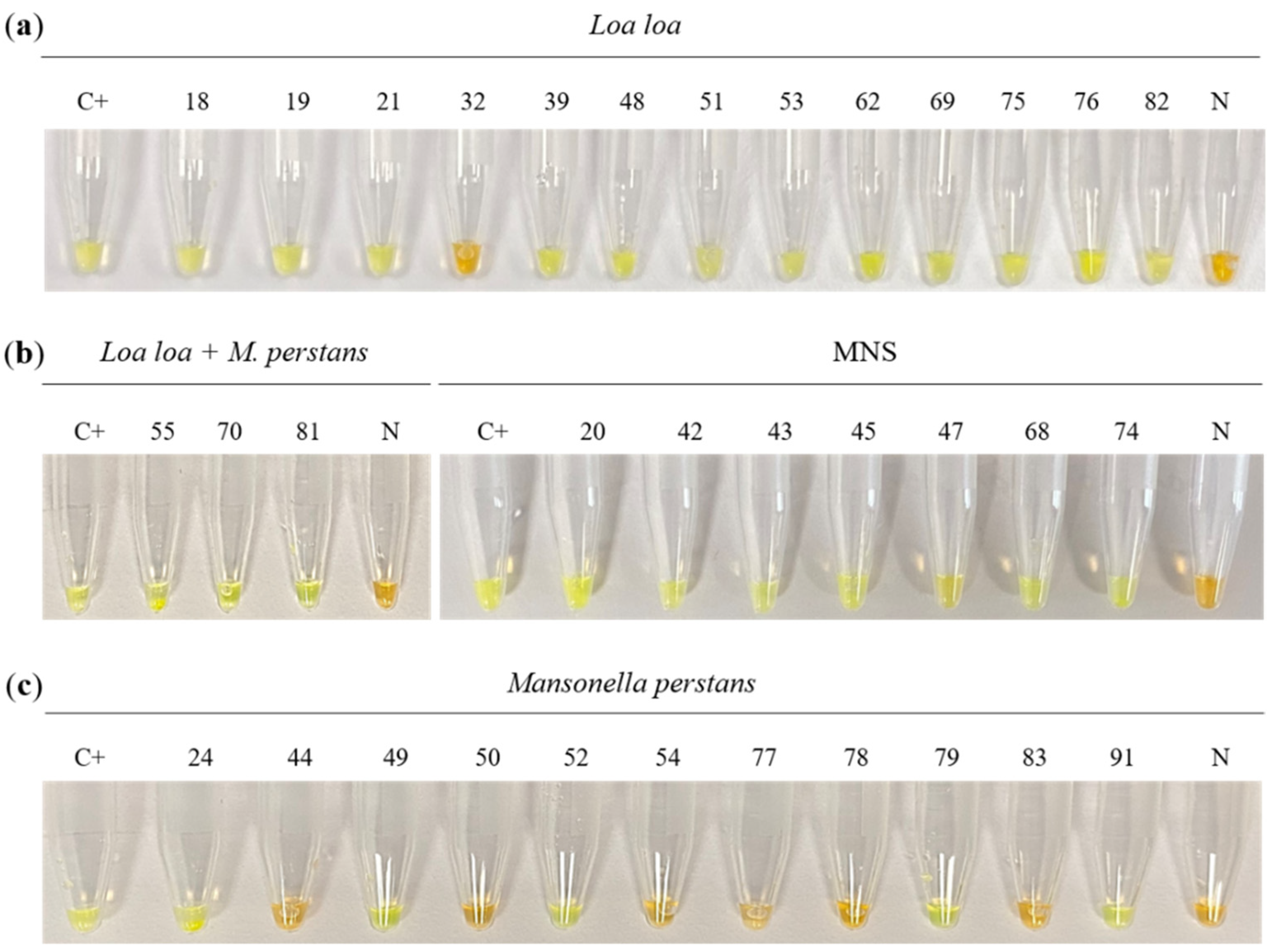 Colorimetric and Real-Time Loop-Mediated Isothermal Amplification (LAMP ...