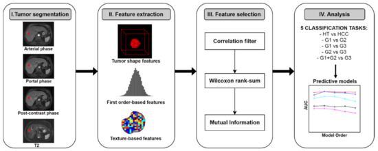 MRI-Based Radiomic Features Help Identify Lesions and Predict Histopathological Grade of ...