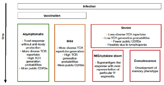Diagnostics | Free Full-Text | Utility of Bulk T-Cell Receptor Repertoire Sequencing Analysis in ...