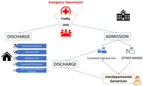 Frailty Network in an Acute Care Setting: The New Perspective for Frail ...