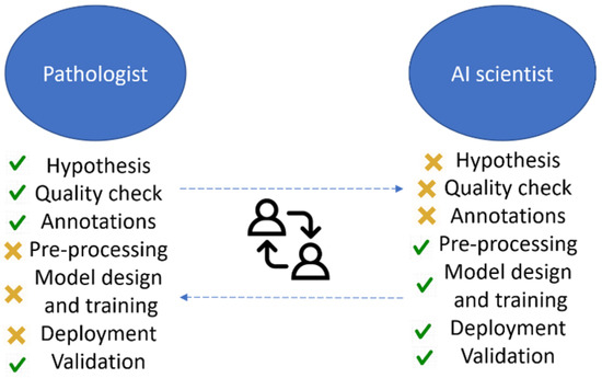 General Roadmap and Core Steps for the Development of AI Tools in ...