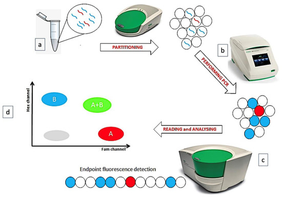 Digital Droplet PCR in Hematologic Malignancies: A New Useful Molecular ...