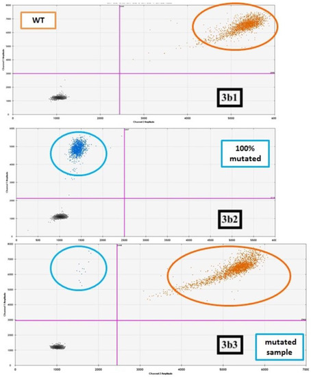 Digital Droplet PCR in Hematologic Malignancies: A New Useful Molecular ...