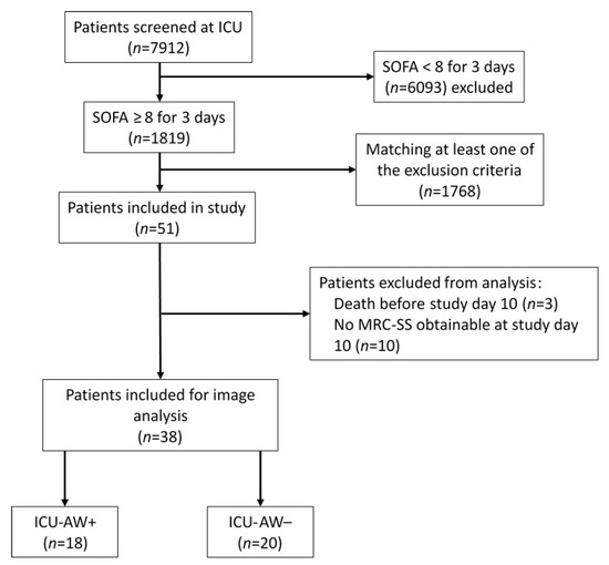 Sonographic Evaluation of Muscle Echogenicity for the Detection of ...