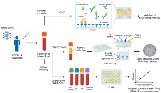 Diagnostics | Special Issue : Diagnostic Tools to Evaluate COVID-19 ...