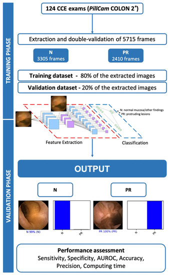 Performance of a Deep Learning System for Automatic Diagnosis of ...