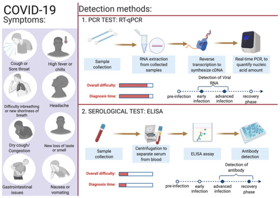 COVID-19 Diagnosis: A Comprehensive Review of the RT-qPCR Method for ...