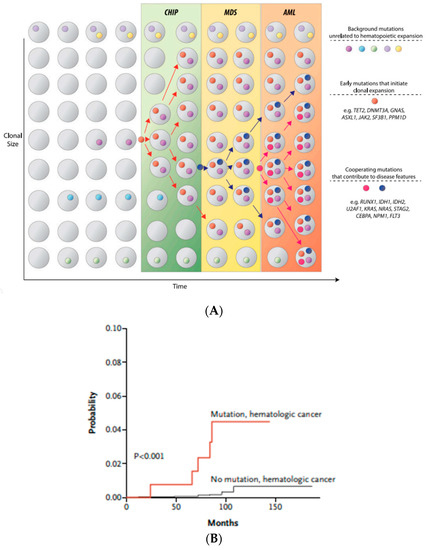 Myelodysplastic Syndrome: Diagnosis and Screening