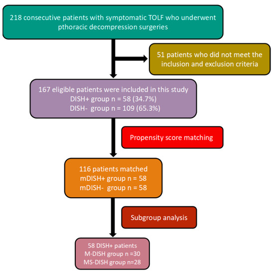 Diagnostics | Free Full-Text | Impact of Diffuse Idiopathic Skeletal ...