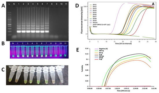 The Revolution of Lateral Flow Assay in the Field of AMR Detection