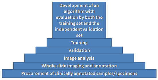 Diagnostics | An Open Access Journal from MDPI