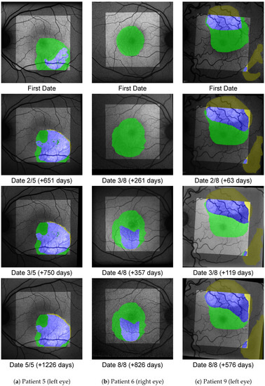 Diagnostics | An Open Access Journal from MDPI