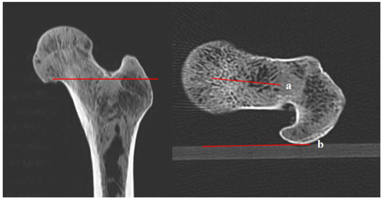 Diagnostics | An Open Access Journal from MDPI