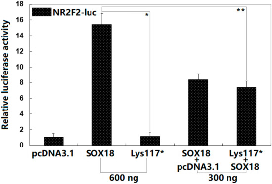 Identification of SOX18 as a New Gene Predisposing to Congenital Heart ...