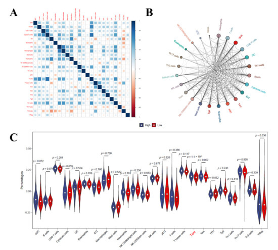 Artificial Intelligence in Cancer Diagnosis and Therapy