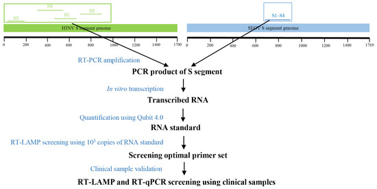 Diagnostics | Free Full-Text | An HFman Probe-Based Multiplex Reverse Transcription Loop ...