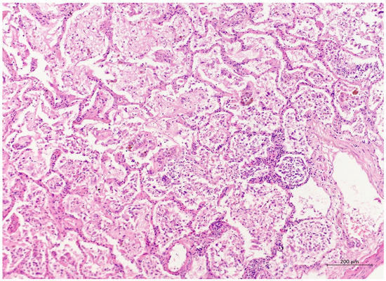 Diagnostics | An Open Access Journal from MDPI