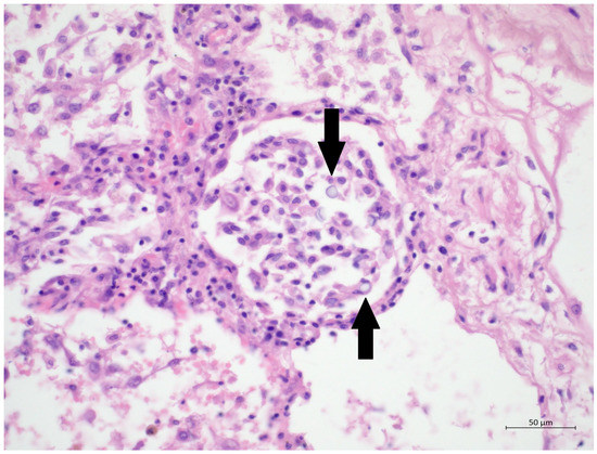Diagnostics | An Open Access Journal from MDPI