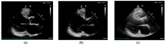 Diagnostics | An Open Access Journal from MDPI