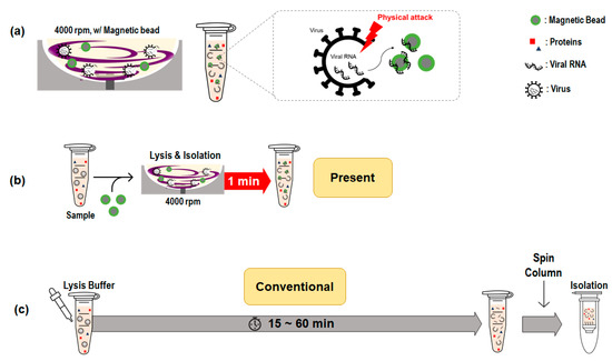 Rapid Extraction of Viral Nucleic Acids Using Rotating Blade Lysis and ...