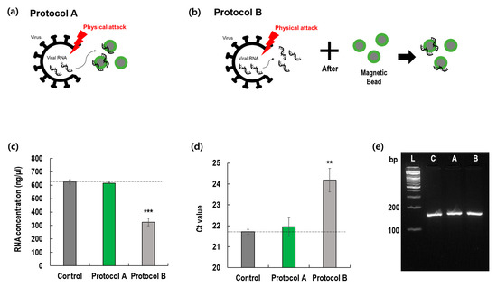 Rapid Extraction of Viral Nucleic Acids Using Rotating Blade Lysis and ...