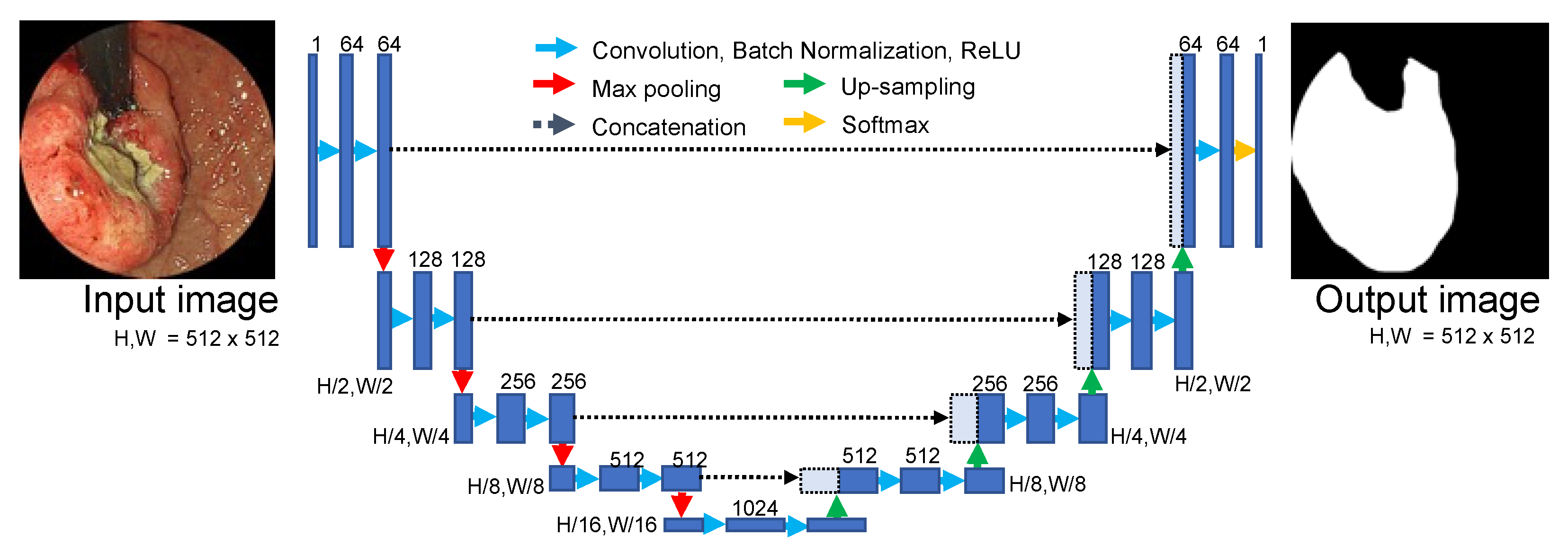 Diagnostics | Free Full-Text | Detection and Characterization of ...