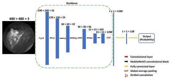 Deep-Learning-Based Real-Time and Automatic Target-to-Background Ratio Calculation in ...