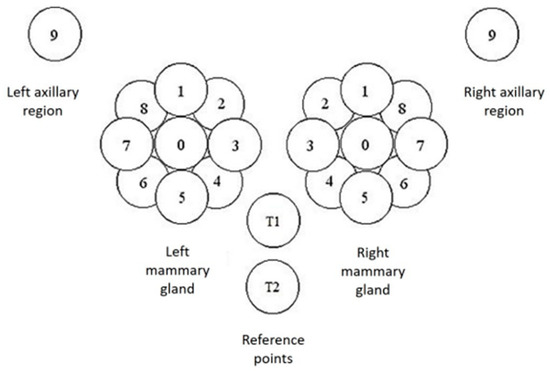 Diagnostics | Free Full-Text | Dynamic Weight Agnostic Neural Networks ... Diagnostics | Free Full-Text | Dynamic Weight Agnostic Neural Networks ...