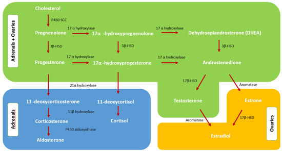 Differentiating Polycystic Ovary Syndrome from Adrenal Disorders