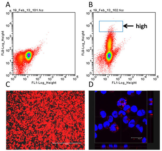 The Humanised NPY-mRFP RBL Reporter Cell Line Is a Fast and Inexpensive ...