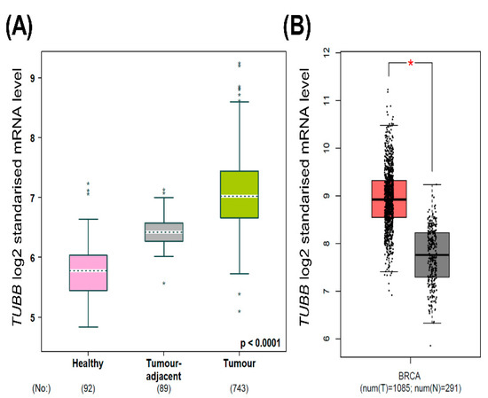 Bioinformatics Identification of TUBB as Potential Prognostic Biomarker ...