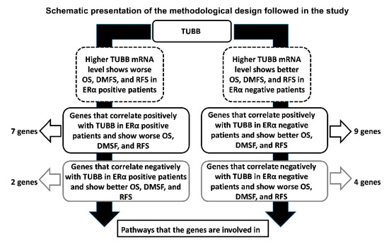 Bioinformatics Identification of TUBB as Potential Prognostic Biomarker ...