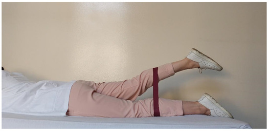 Shear-Wave Elastography and Viscosity PLUS for the Assessment of ...