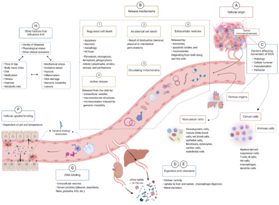 Diagnostics | Free Full-Text | New Perspectives on the Importance of ...