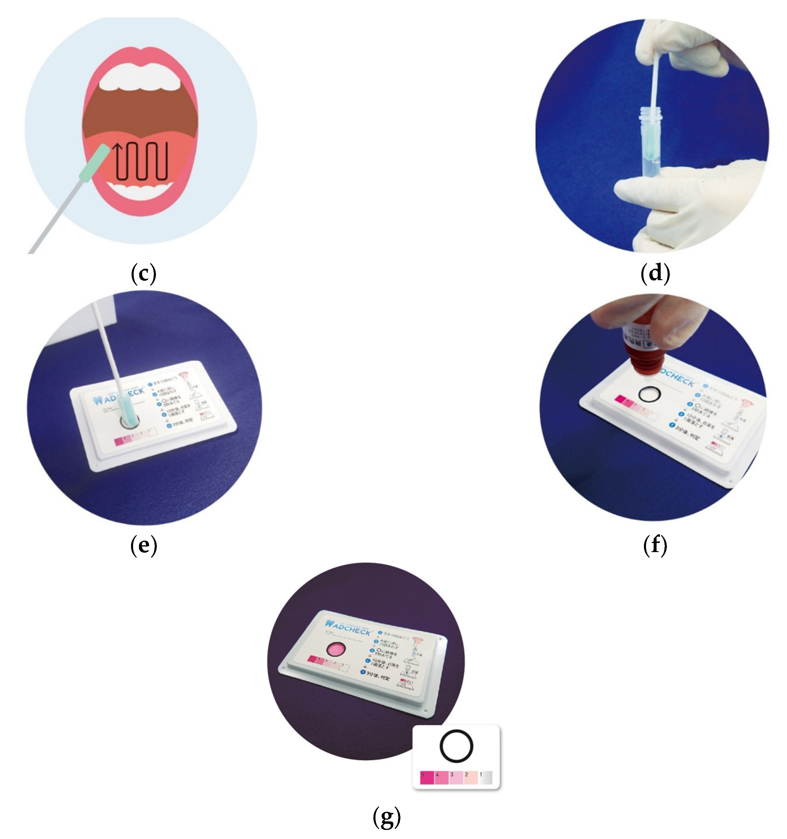 The Ability of a Novel Trypsin-like Peptidase Activity Assay Kit to ...