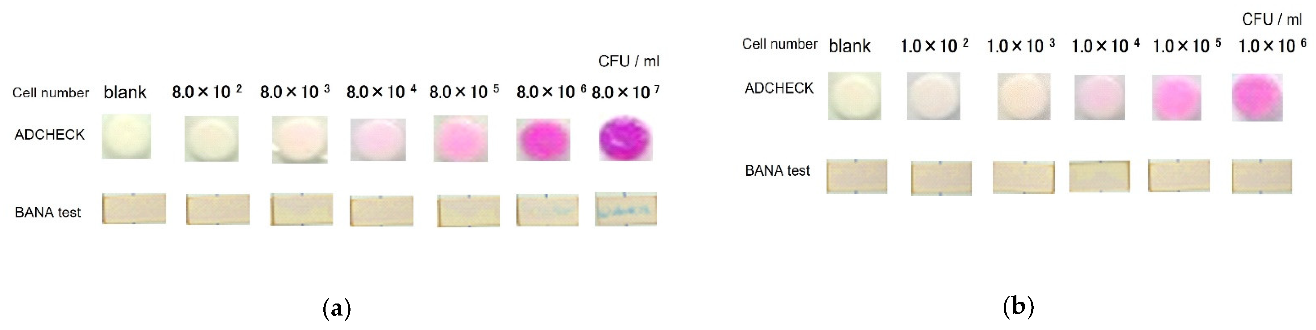 The Ability of a Novel Trypsin-like Peptidase Activity Assay Kit to Detect Red-Complex Species