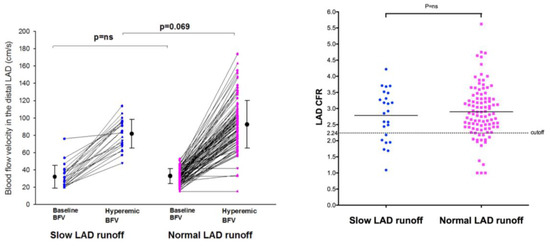 Hidden Coronary Atherosclerosis Assessment but Not Coronary Flow ...